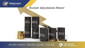 Phí Local Charge Là Gì? Các Loại Phí Local Charge Phổ Biến